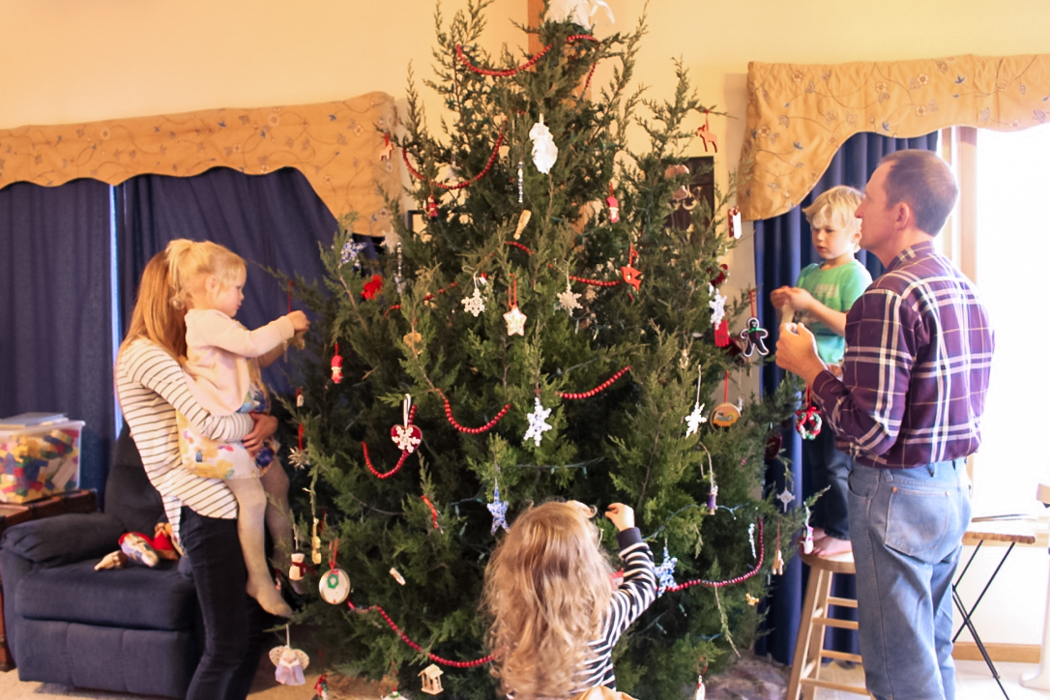 Winter Craft for Kids: Pinecone Bird Feeder | Shelly Carlson