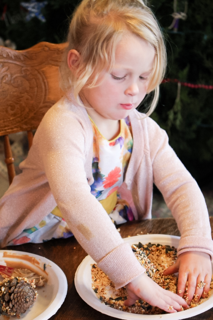 Winter Craft for Kids: Pinecone Bird Feeder | Shelly Carlson
