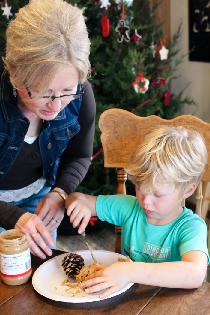 Winter Craft for Kids: Pinecone Bird Feeder | Shelly Carlson