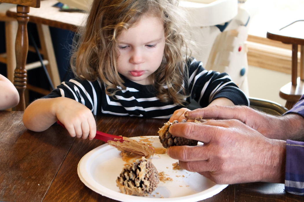 Winter Craft for Kids: Pinecone Bird Feeder | Shelly Carlson